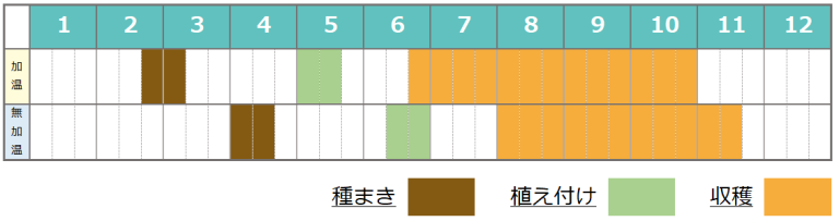 家庭菜園のピーマンの育て方を種まきから収穫まで詳しく解説 ゆるっとライフ